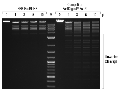 High-Fidelity (HF) Restriction Endonucleases | NEB
