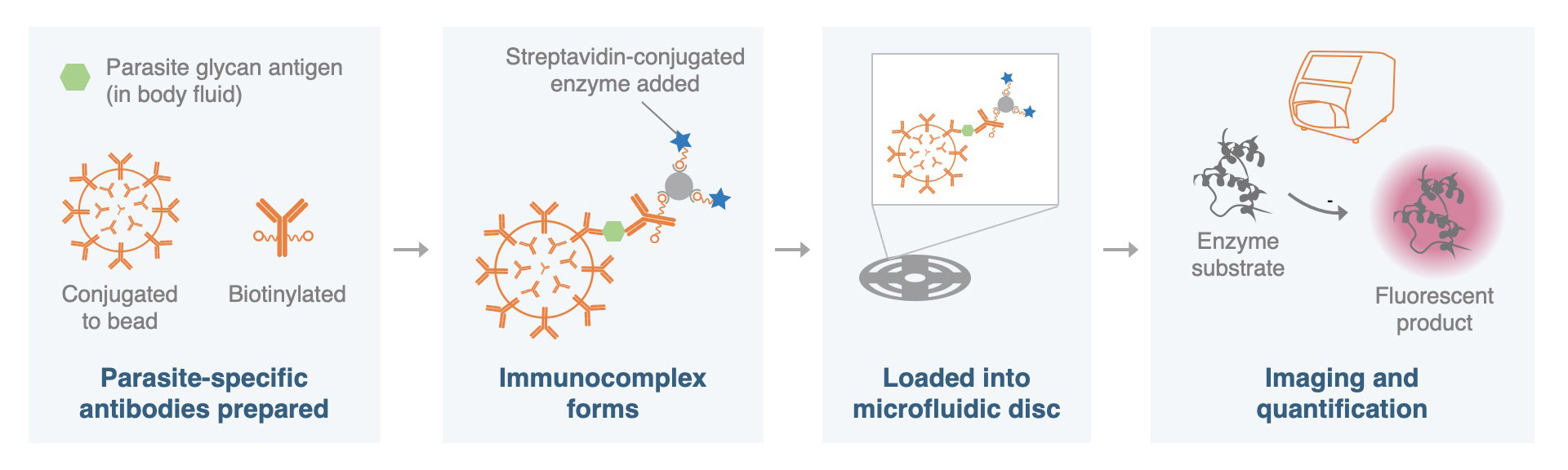 Single molecule detection of parasite glycoconjugates | NEB
