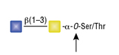 Detailed Characterization of Several Glycosidase Enzymes | NEB