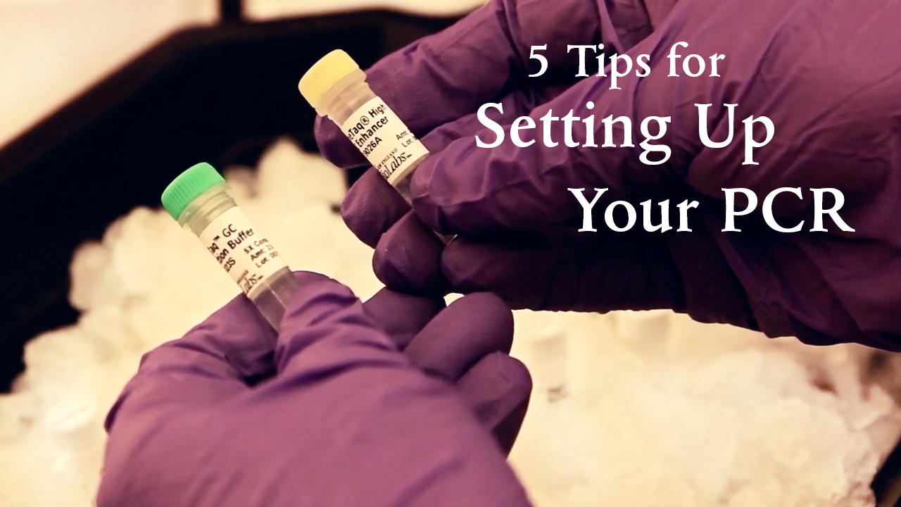 Quick Tips - How do I determine the best annealing temperature for my ...