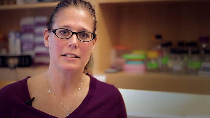 NEBcutter® V3.0 - Find restriction enzymes to remove a specific DNA ...