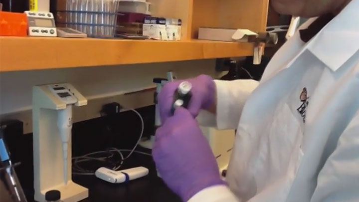 DNA 连接酶产品 | NEB