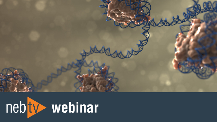 NEBuffer™ 套装（EcoRI/SspI、DpnII） | NEB