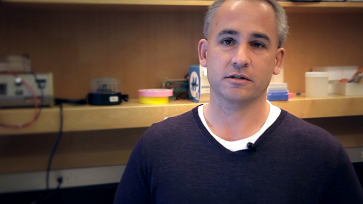 NEBcutter® V3.0 - Find restriction enzymes to remove a specific DNA ...