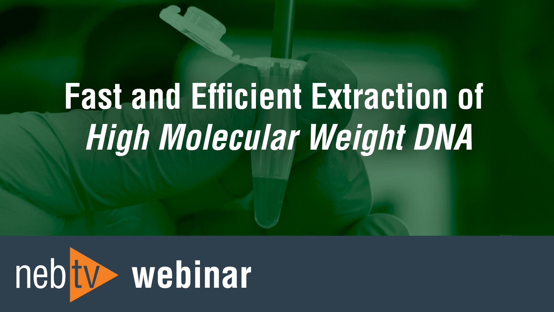 NEBNext® Companion Module for Oxford Nanopore Technologies® Ligation ...