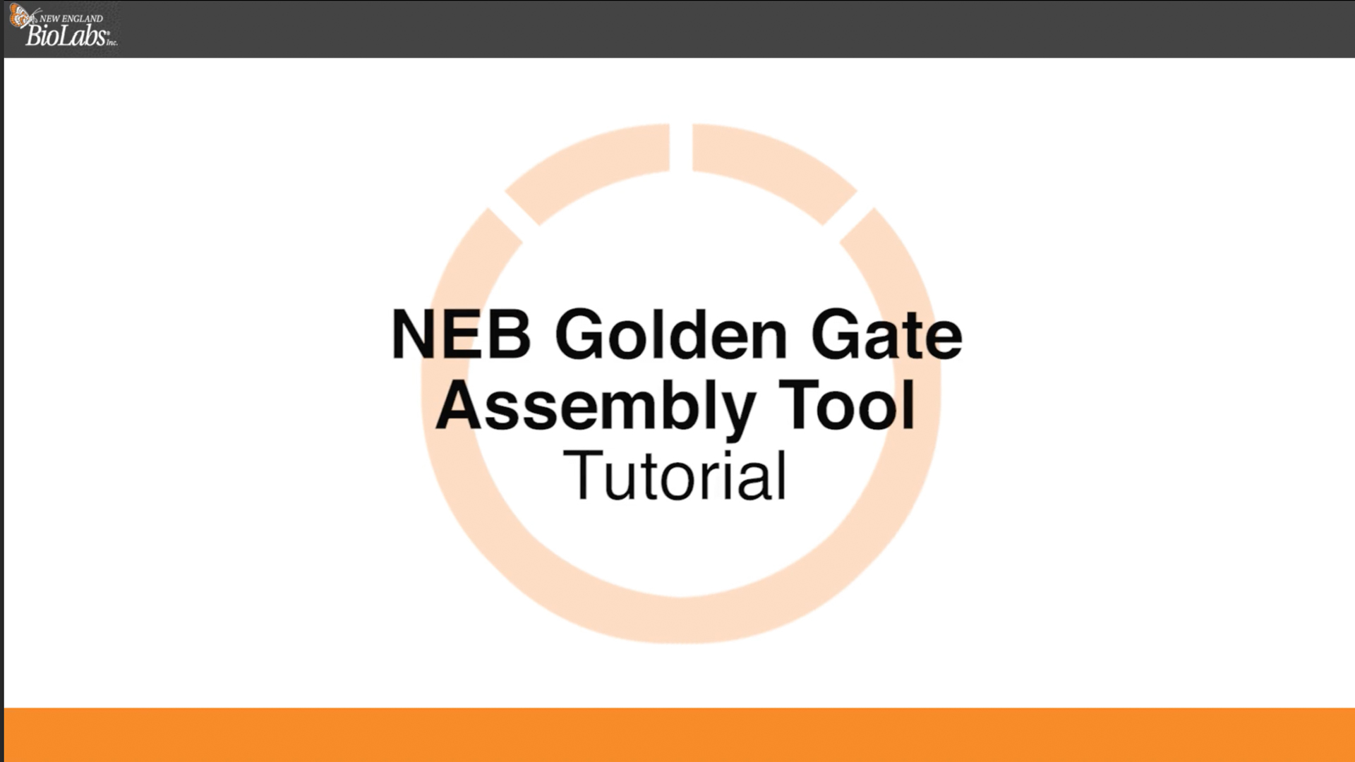 Golden Gate Assembly Workflow | NEB