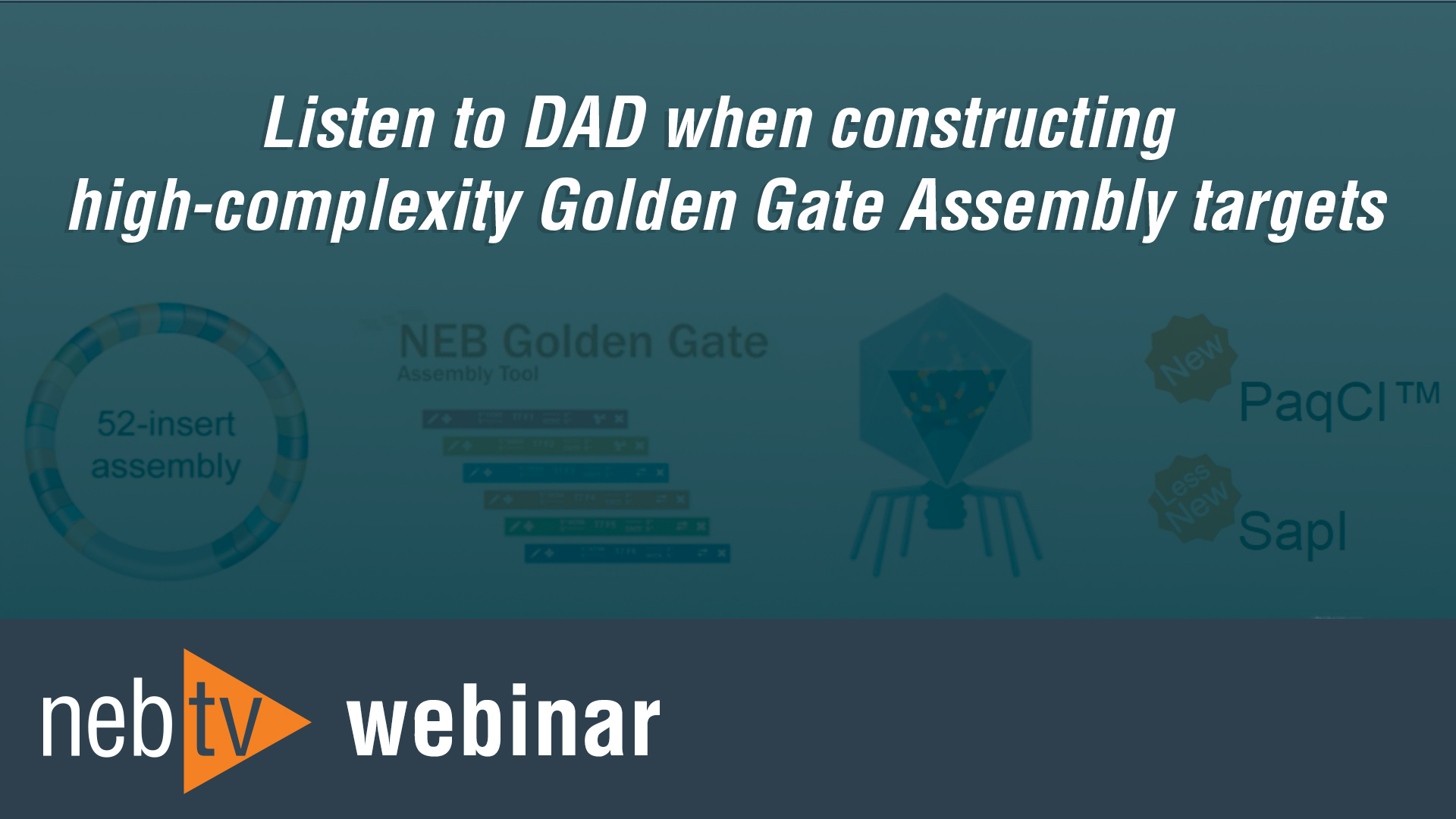 Golden Gate Assembly | NEB