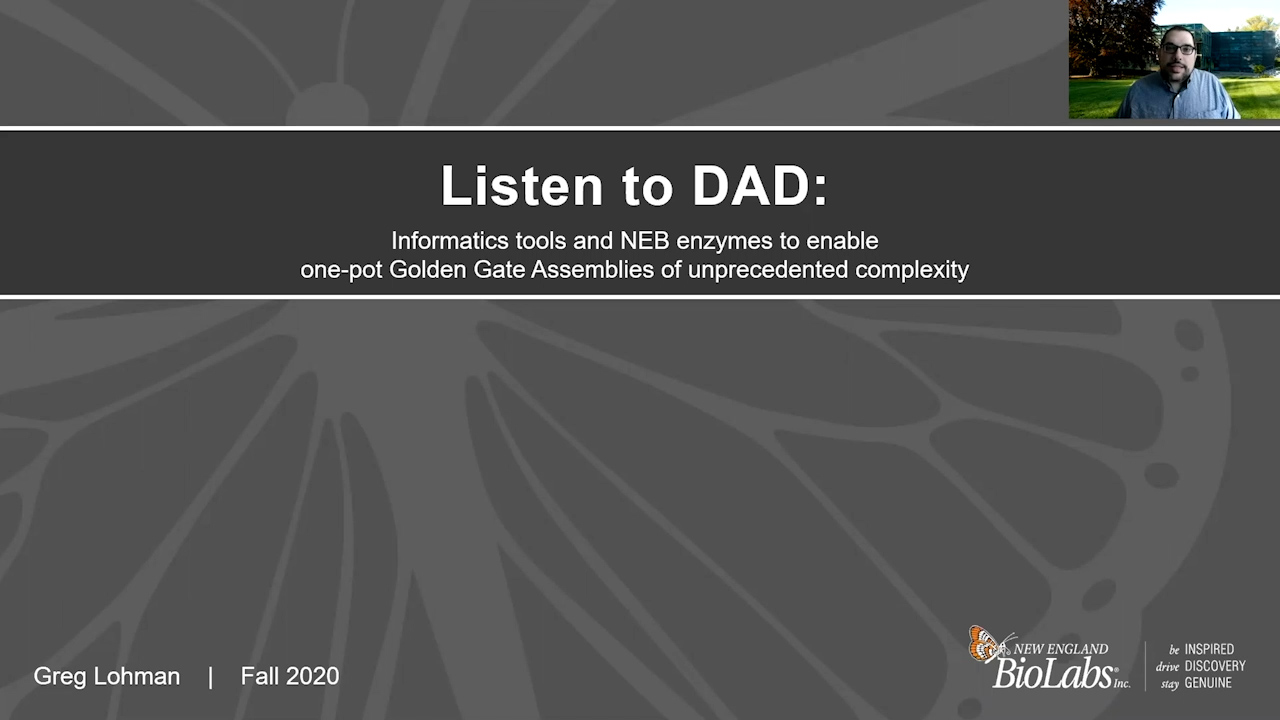 NEBridge® Golden Gate Assembly | NEB