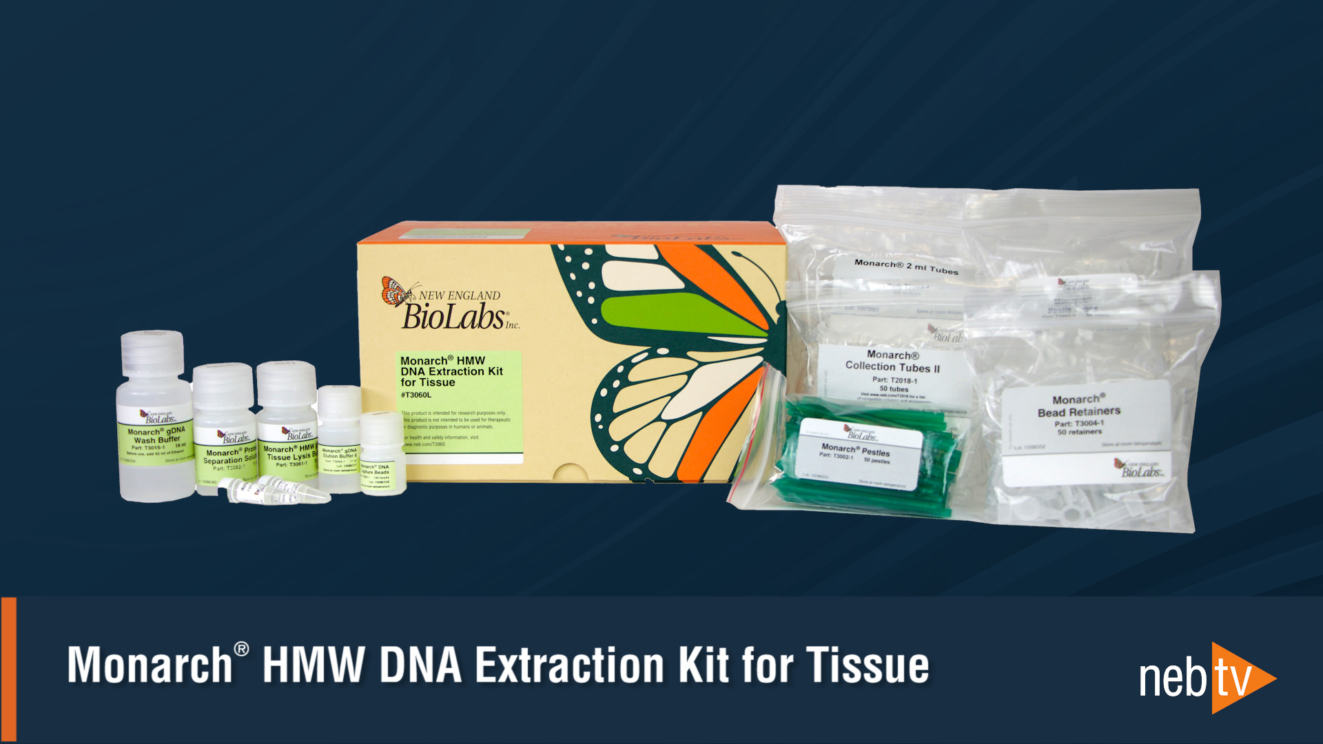 Monarch® HMW DNA Extraction Kit for Tissue | NEB