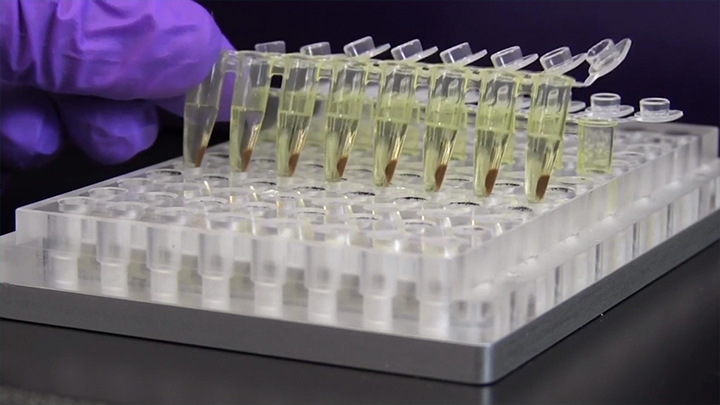 Illumina DNA 文库制备 | NEB