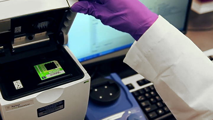 NEBNext Ultra II Directional RNA Library Prep with Sample Purification ...