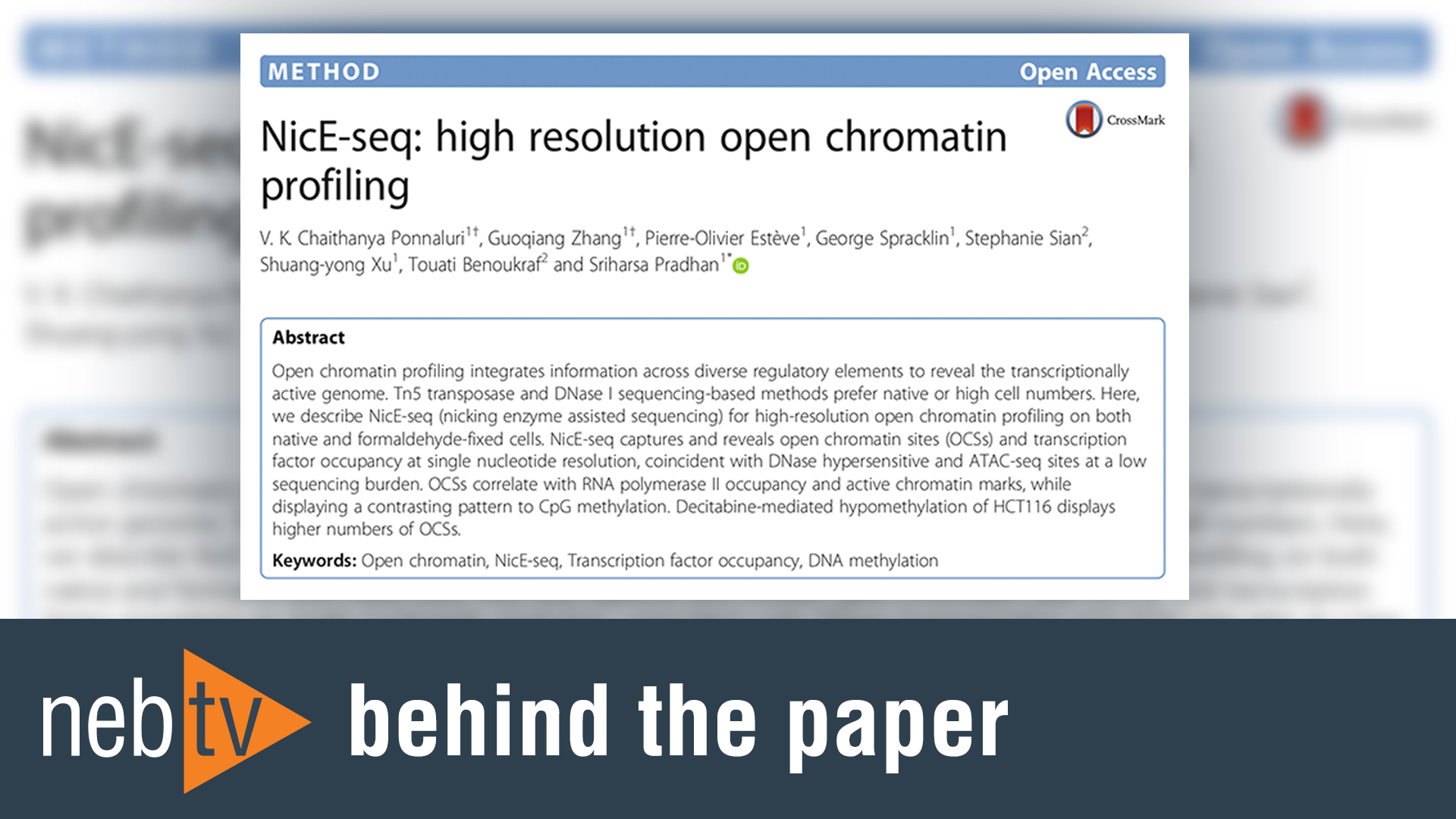 染色质分析 | NEB