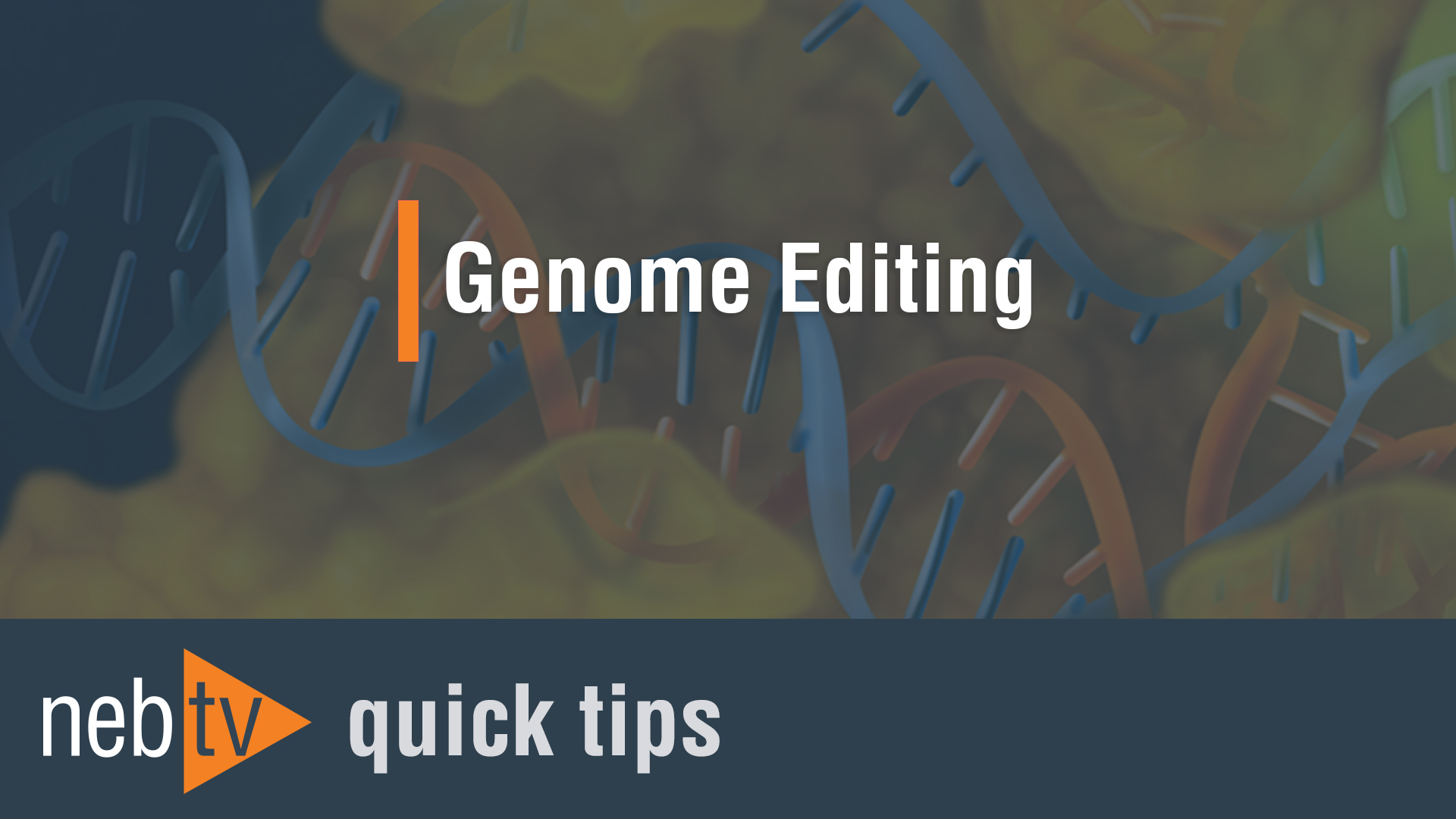 Quick Tips - Should I clean up my PCR before T7 endonuclease digestion ...