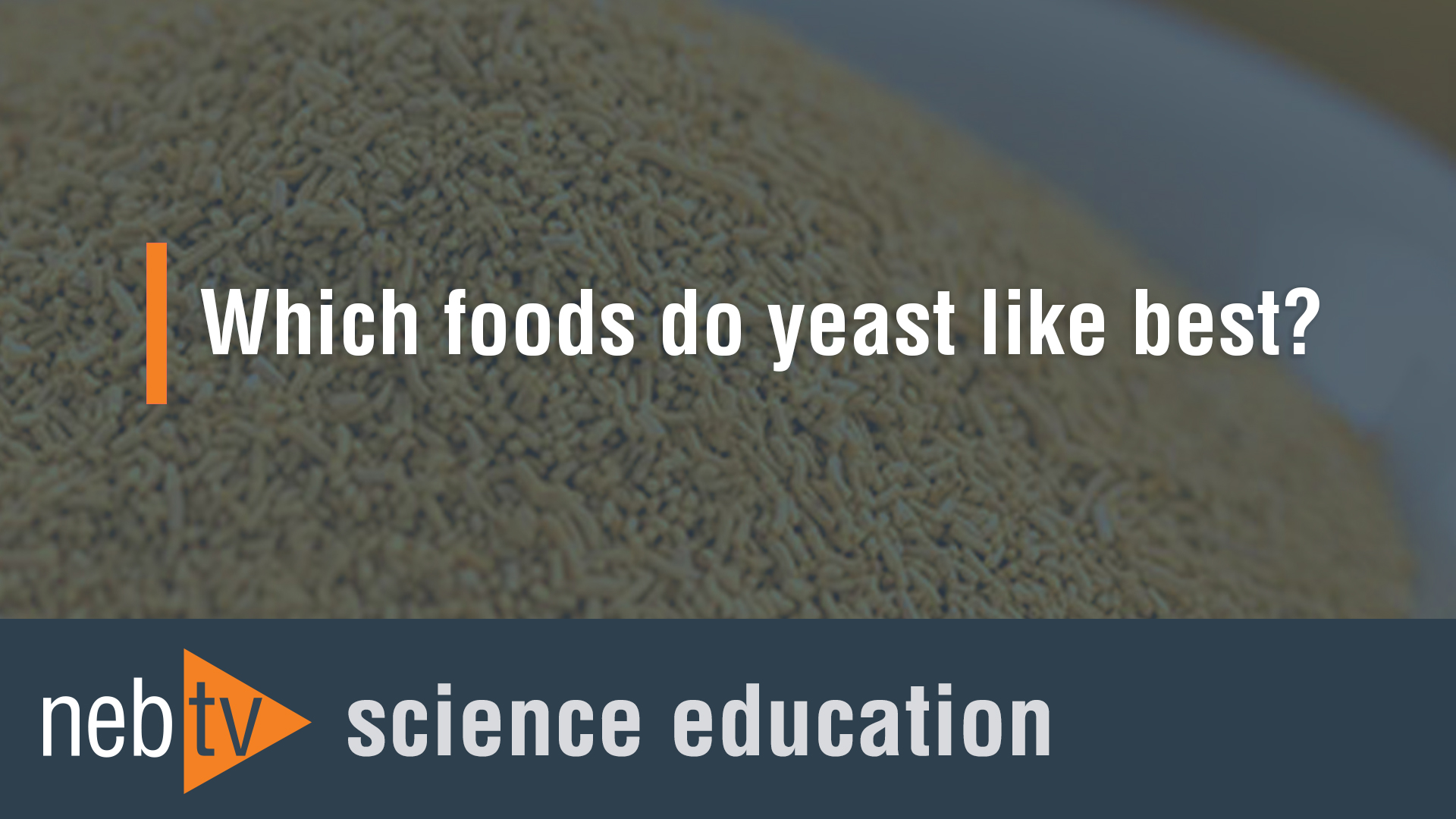 NEB Kids’ Science Day Experiments | NEB