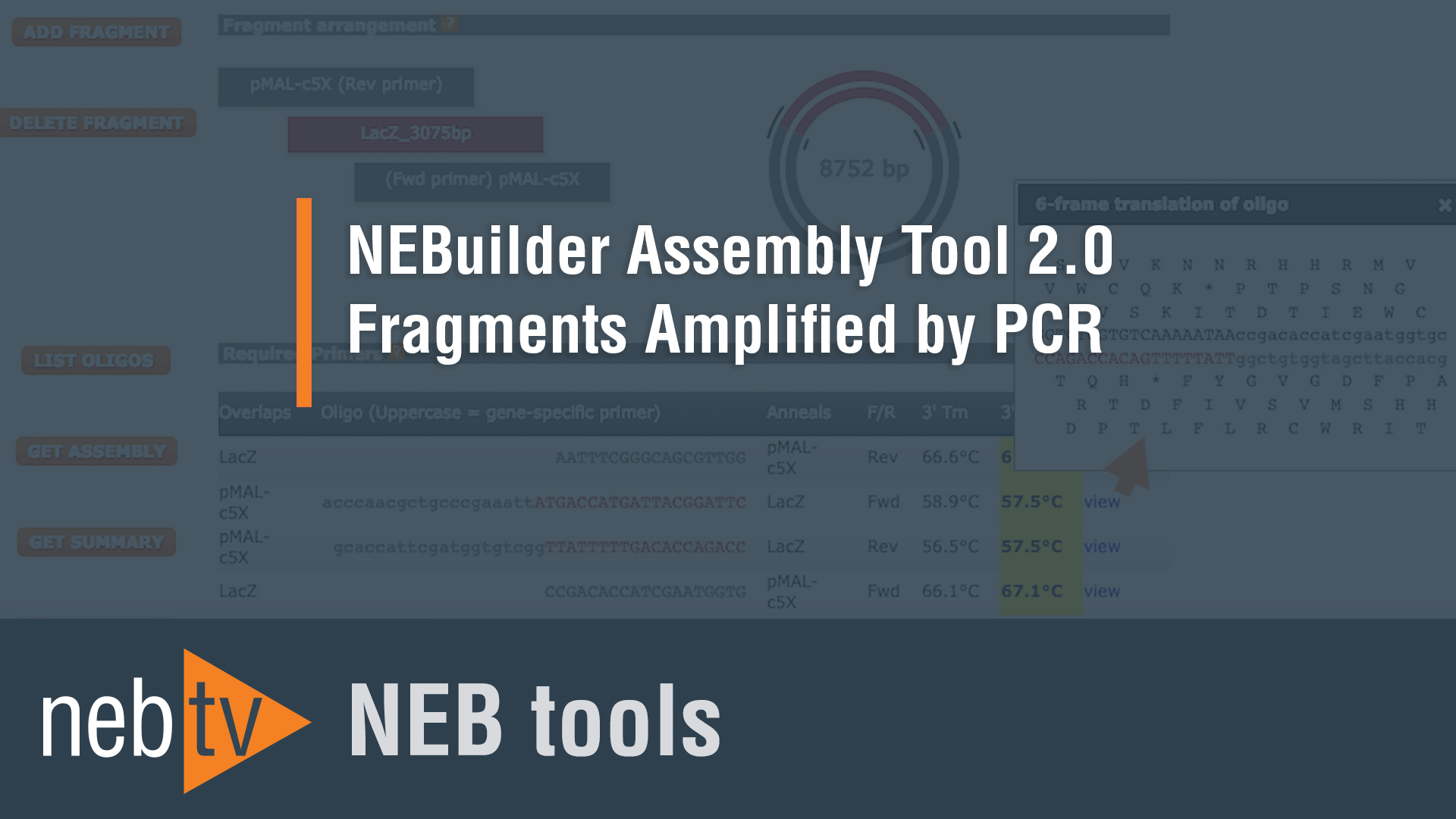 Nebio Calculator – Neb Restriction Calculator – Chaingang Design