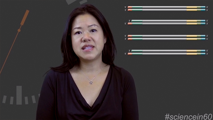 12 Quick Tips for NGS Library Preparation | NEB