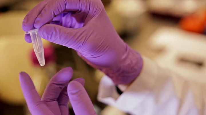 Restriction Enzyme Troubleshooting Guide | NEB