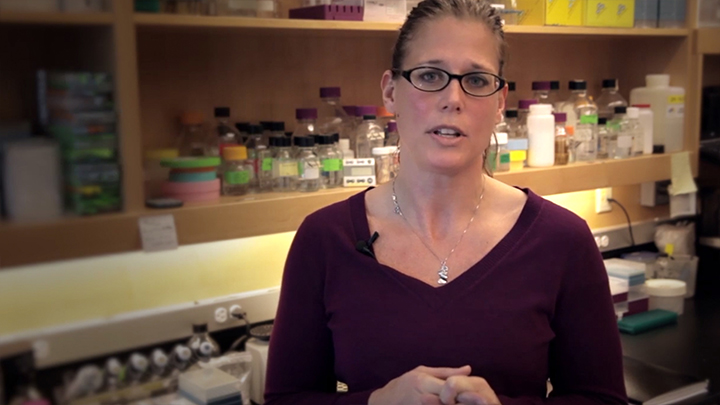 Restriction Enzyme Troubleshooting Guide | NEB