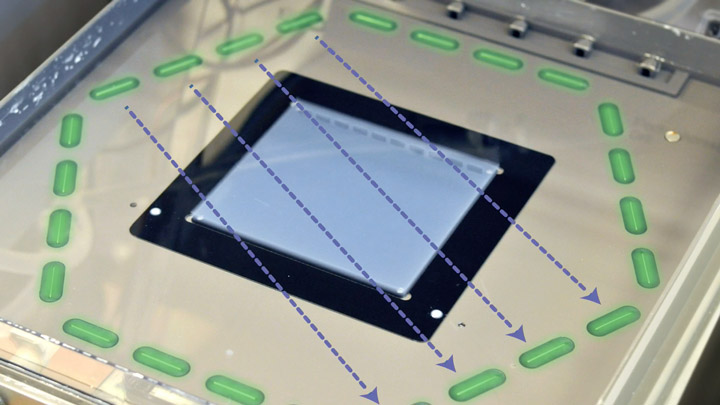 Midrange PFG Marker | NEB