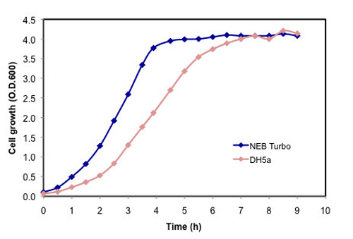 NEB® Turbo E. coli 感受态细胞（高效级） | NEB